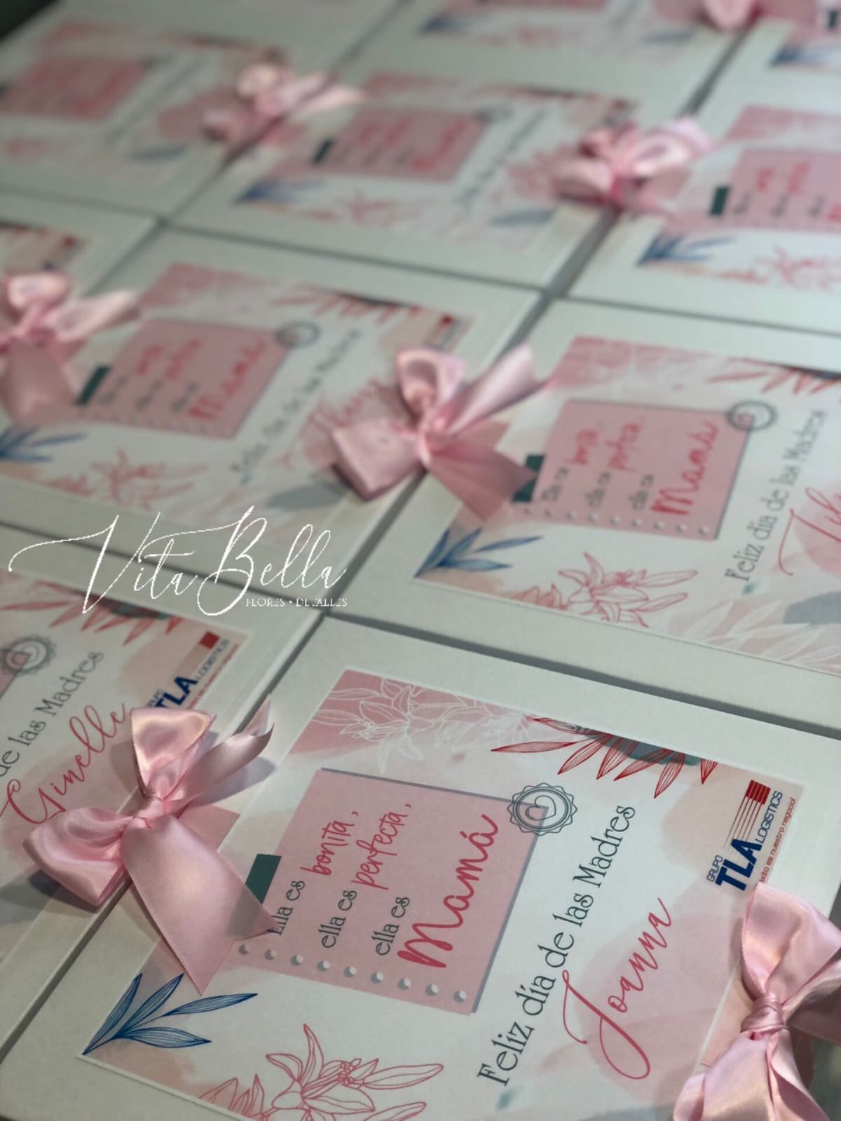 Grupo TLA Logistics - Vita Bella