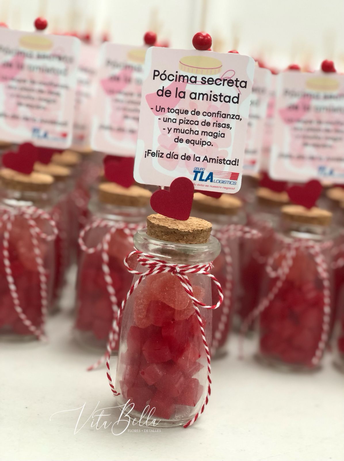 Grupo TLA Logistics - Vita Bella